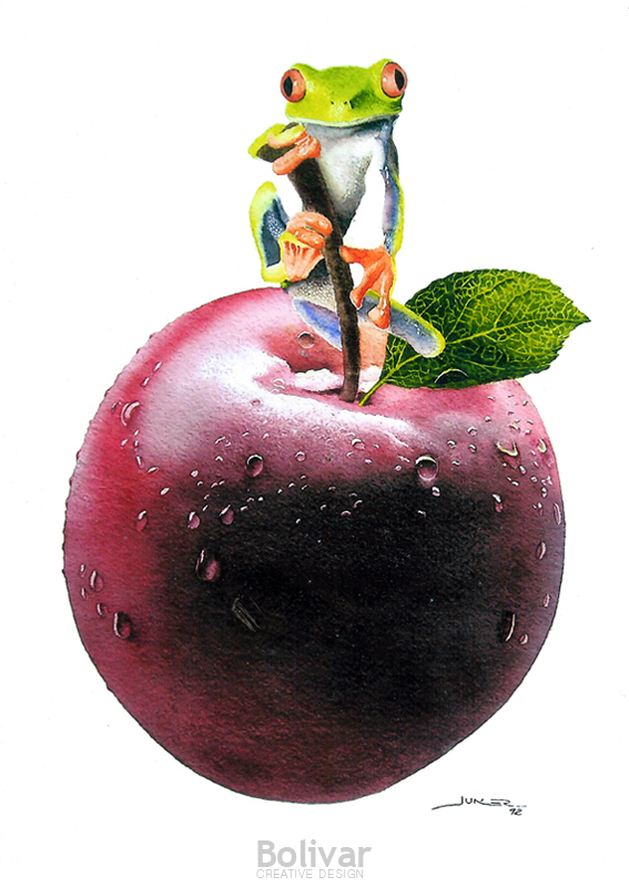 Bolivar Creative Design